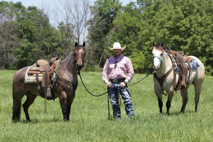 Jared Meyer Performance Horses