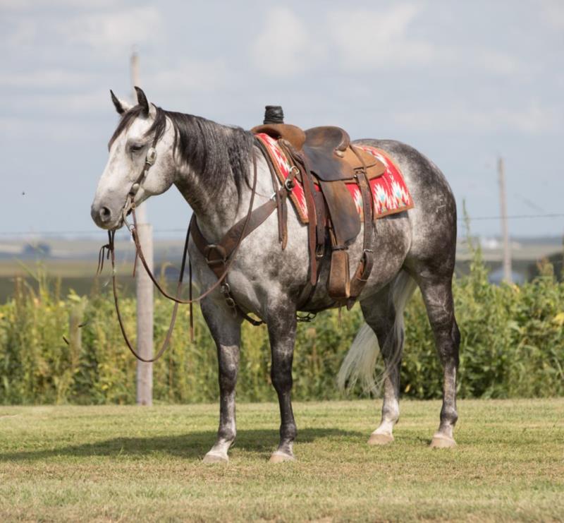 FlashLightsPackinJet